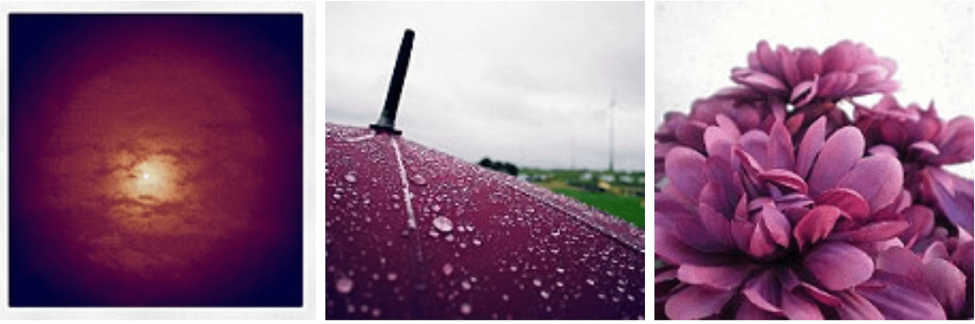 Candid Talks: Understanding Color Choices for Your Website - Candid Sites